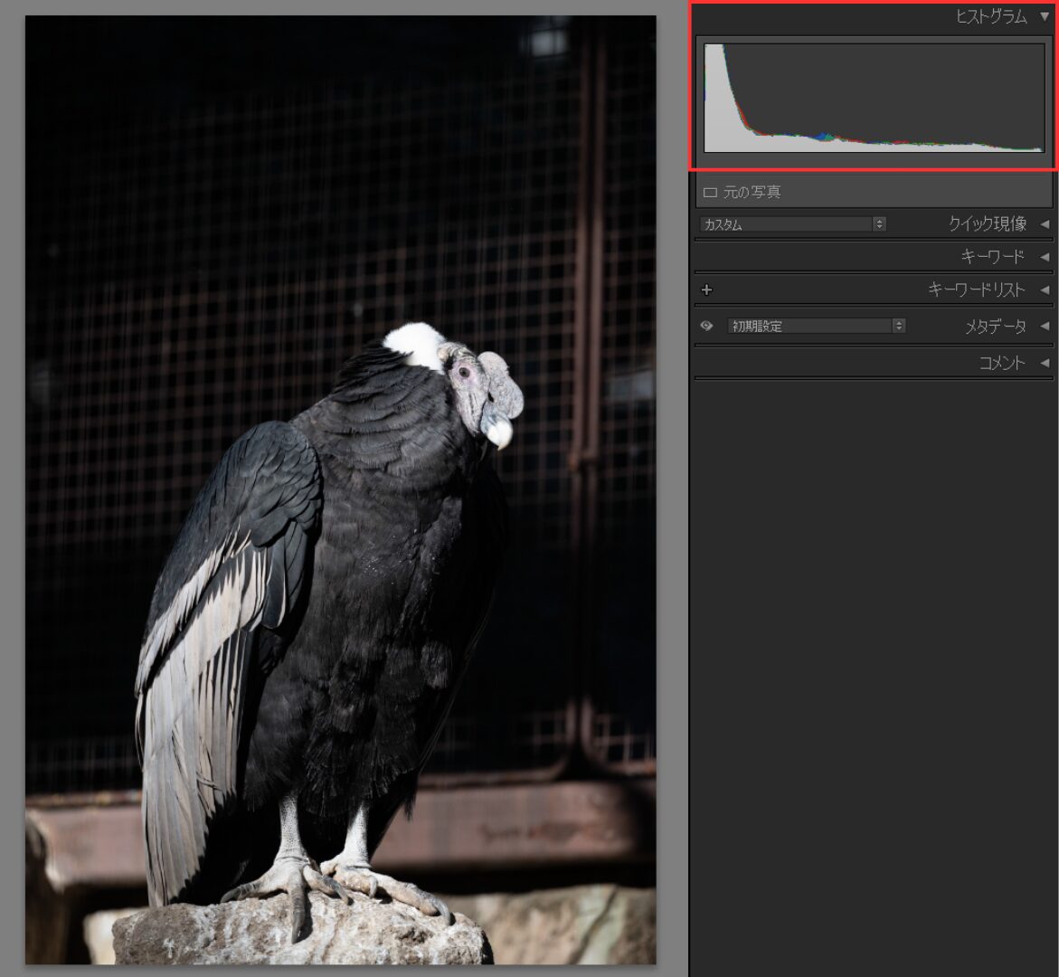 【現像パラメーター解説】露光量とは？コントラストとは？「光」に関係するパラメーター – Pixel Alchemy Journals