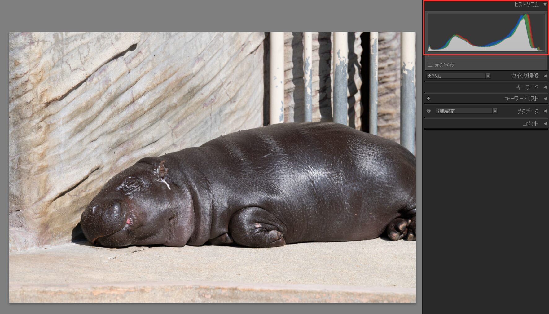 【現像パラメーター解説】露光量とは？コントラストとは？「光」に関係するパラメーター – Pixel Alchemy Journals