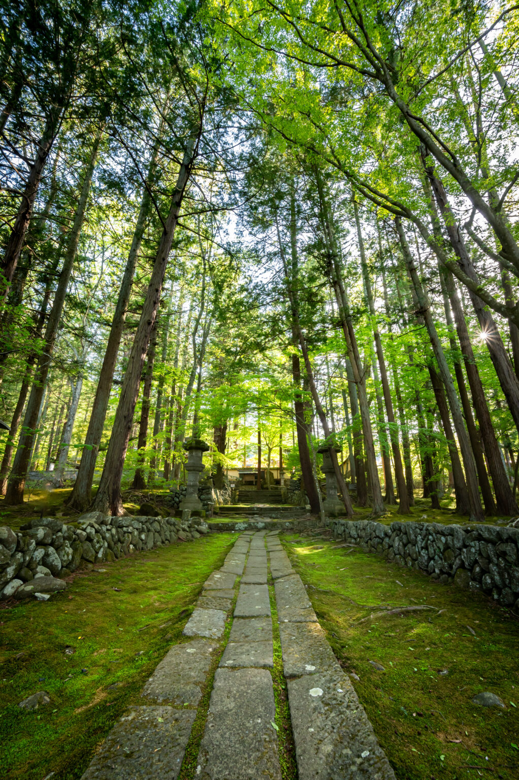 【現像パラメーター解説】テクスチャとは？明瞭度とは？「効果」に関係するパラメーター - Pixel Alchemy Gallery